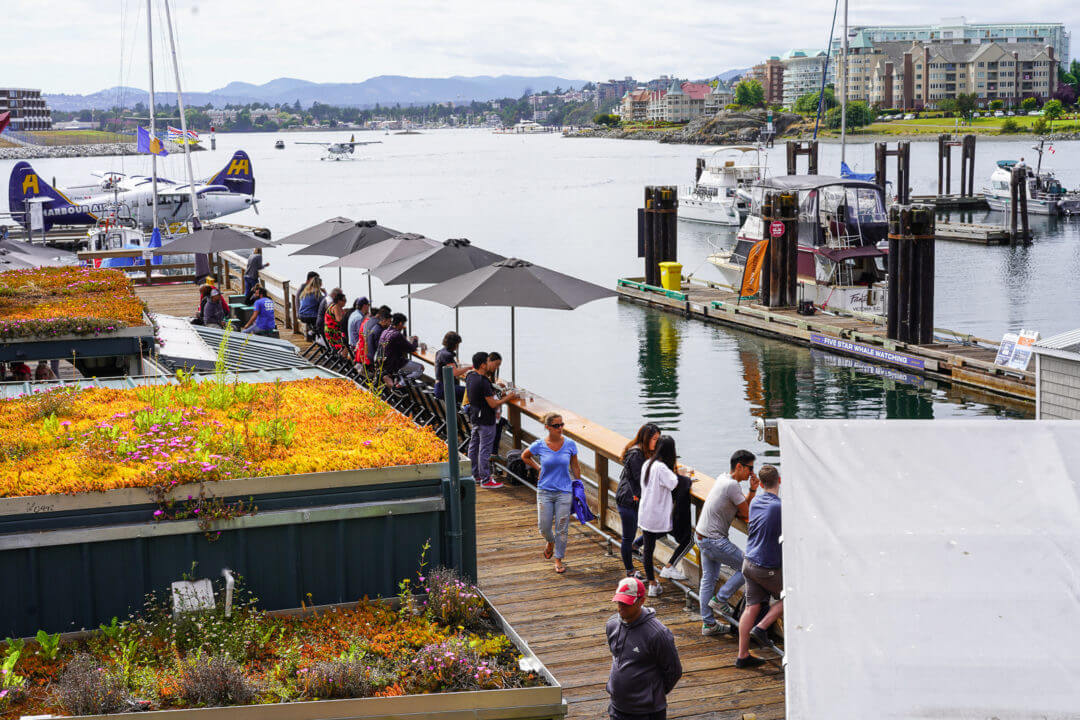 Where to Eat and Drink in Victoria, BC! | Eat, Drink, Travel, Y'all!